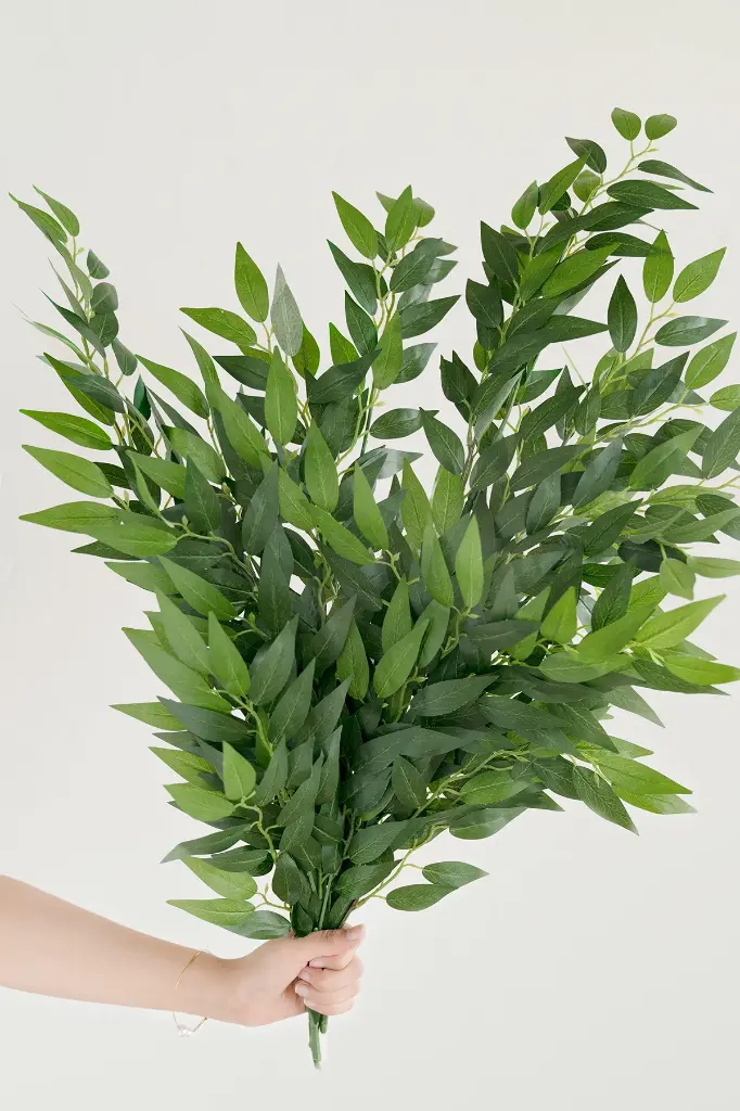 .Greenery Italian Ruscus X 5 STEMS | Savannah Flowers Corp