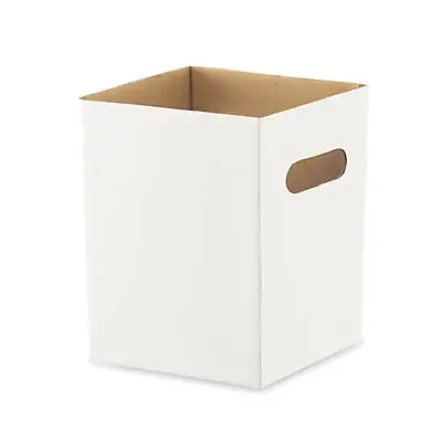 Delivery Box 6x6x8 White 100/case | Savannah Flowers Corp